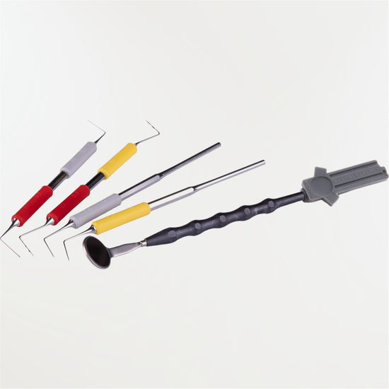 SmartEndo Deppeler X Style Kit Italiano Endodontics – Endo Boutik